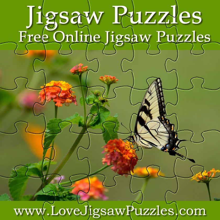 Jigsaw Online | Free Jigsaw Puzzle of a Butterfly