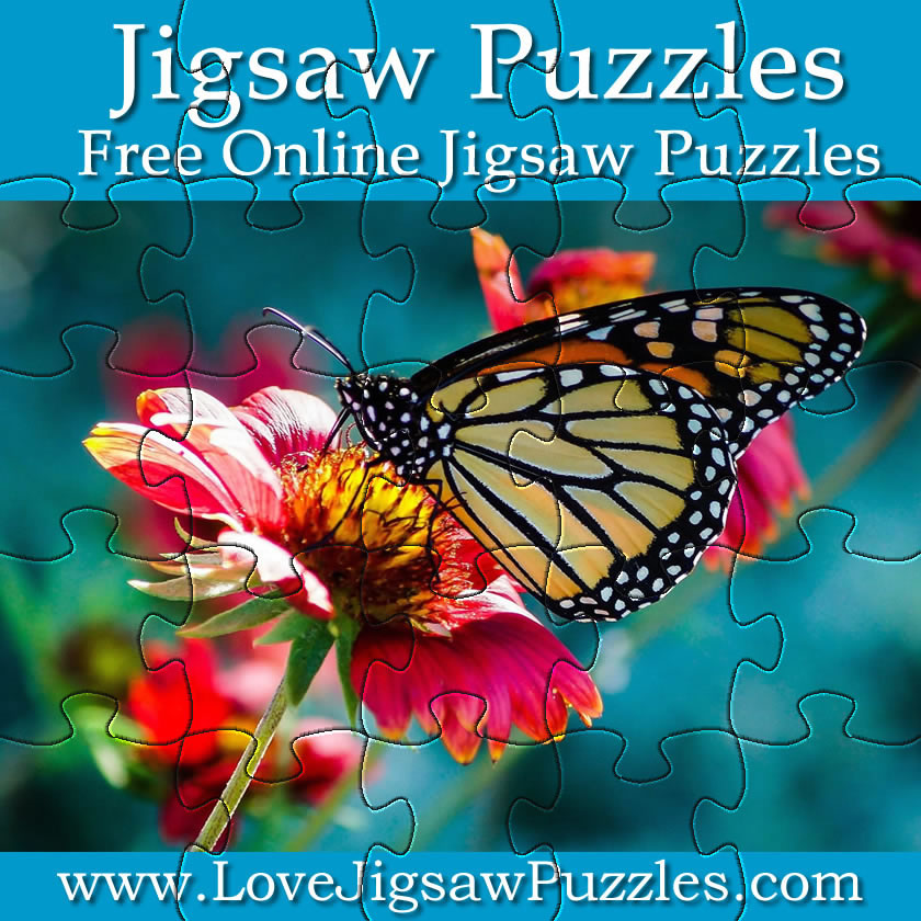 Butterfly Jigsaw Puzzle No 3 | Free Jigsaw Puzzles