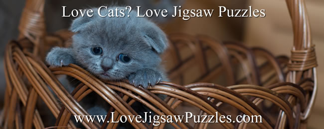 60 Free Jigsaw Puzzles of Cats and Kittens - Online Jigsaws of Cats