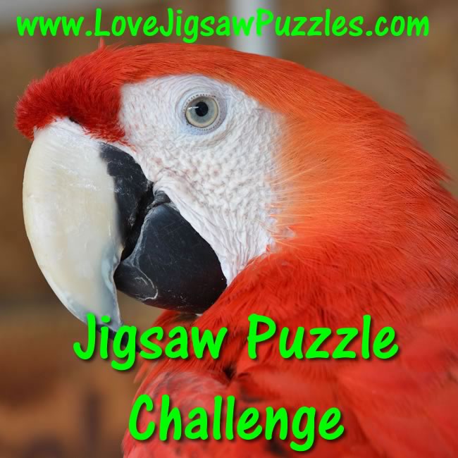 Jigsaw Puzzle Challenge from Love Jigsaw Puzzles