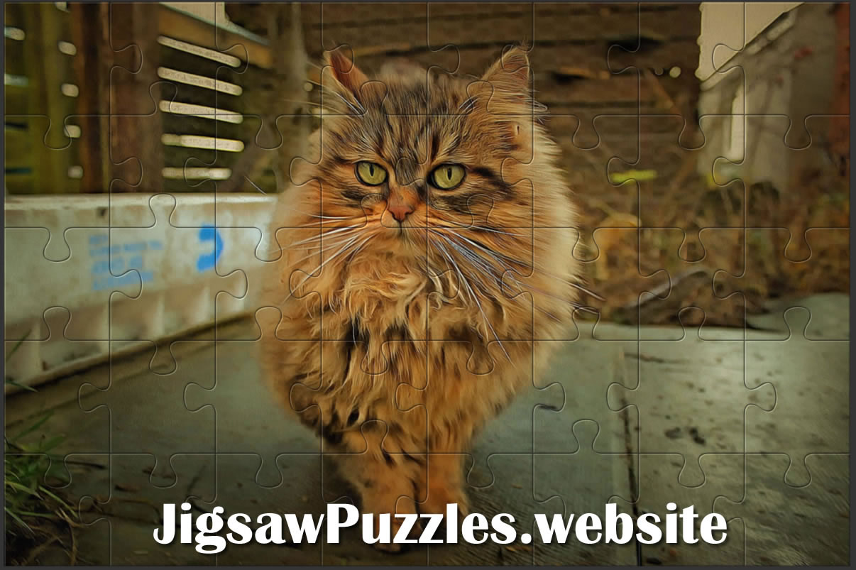 Free Online Jigsaw Puzzles Game 4 | Cat Jigsaw - Jigsaw Puzzles Website