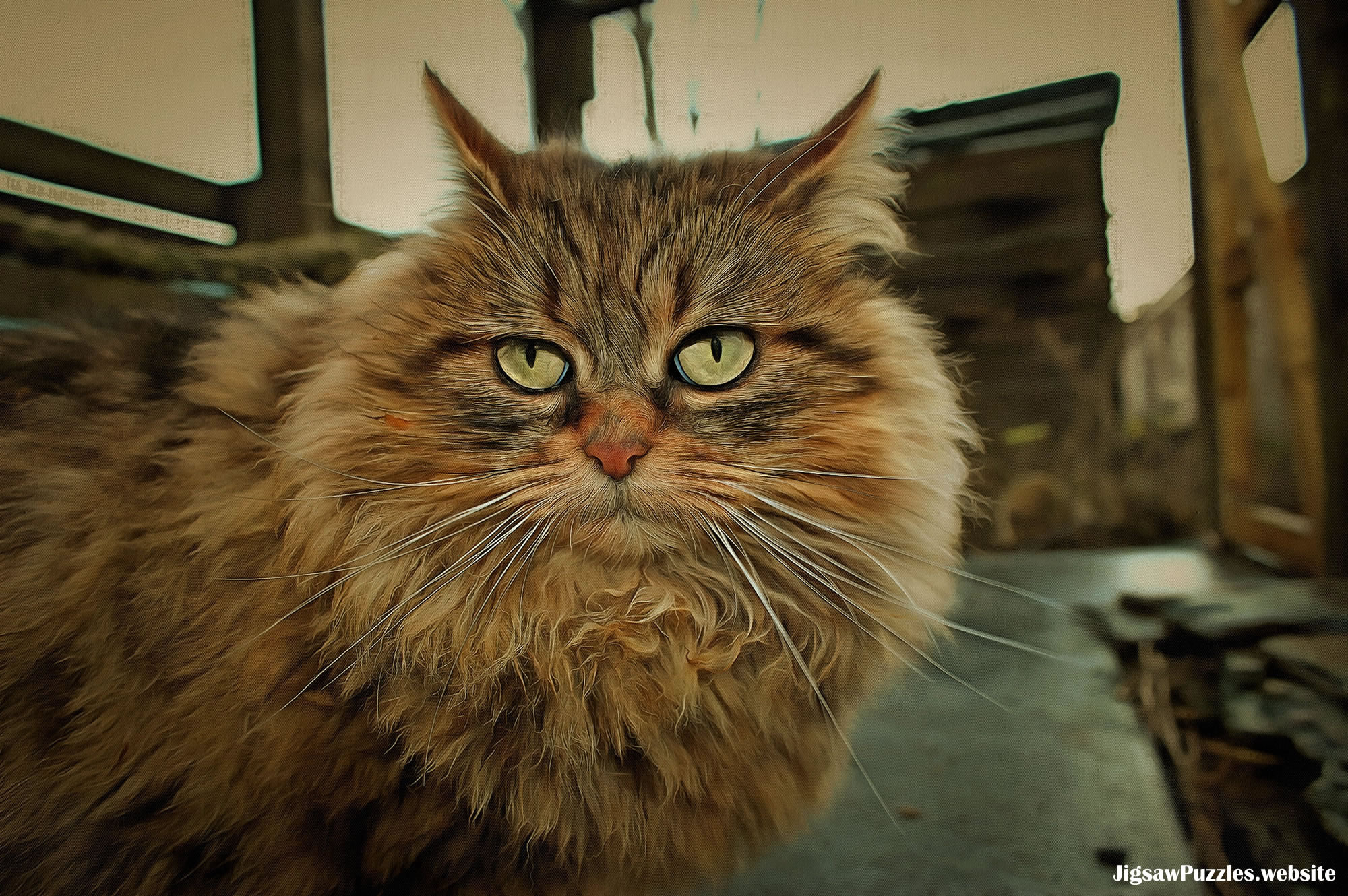 Free Online Jigsaw Puzzles Game 3 | Cat Jigsaw - Jigsaw Puzzles Website